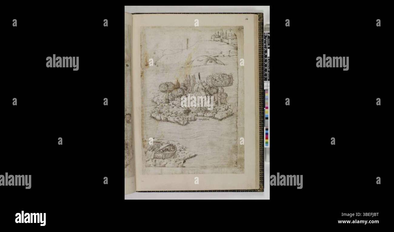 The drawing of Jason from the Florentine Picture-Chronicle, created ...