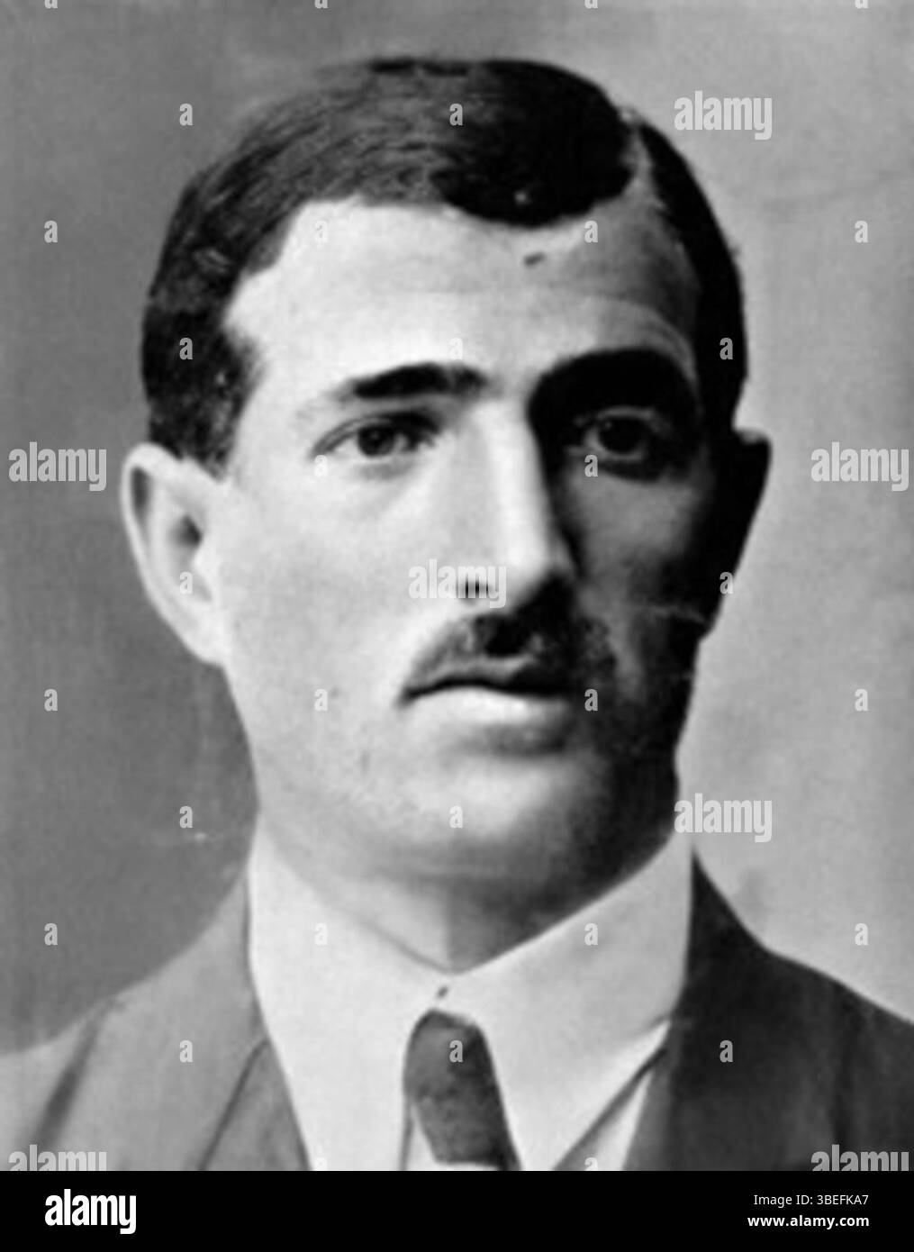 Steiner Gábor, a member of the Hungarian National Assembly, served as a ...