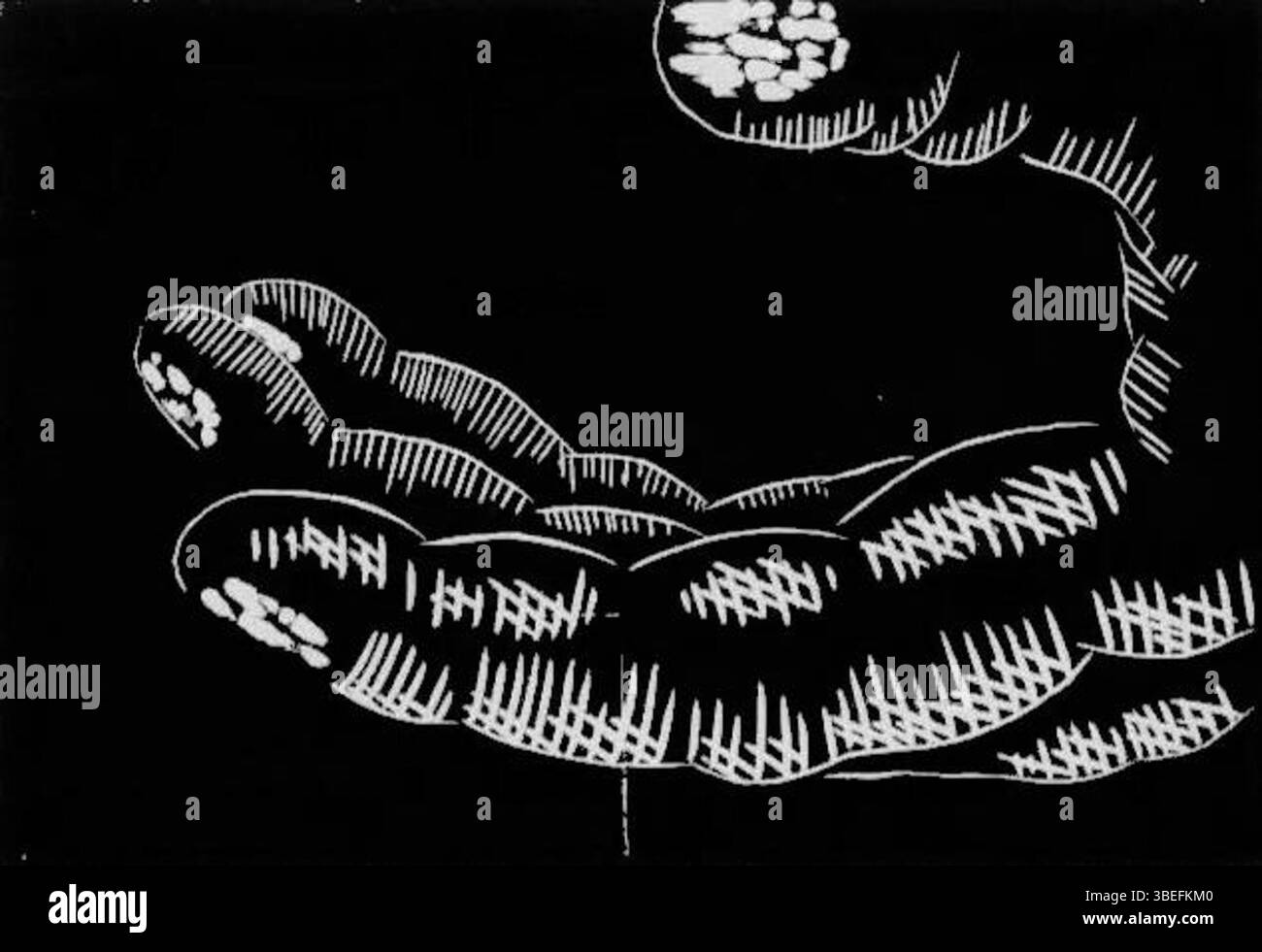 A wood engraving from 1936 by Max Jiménez, illustrating Chapter 13 of ...