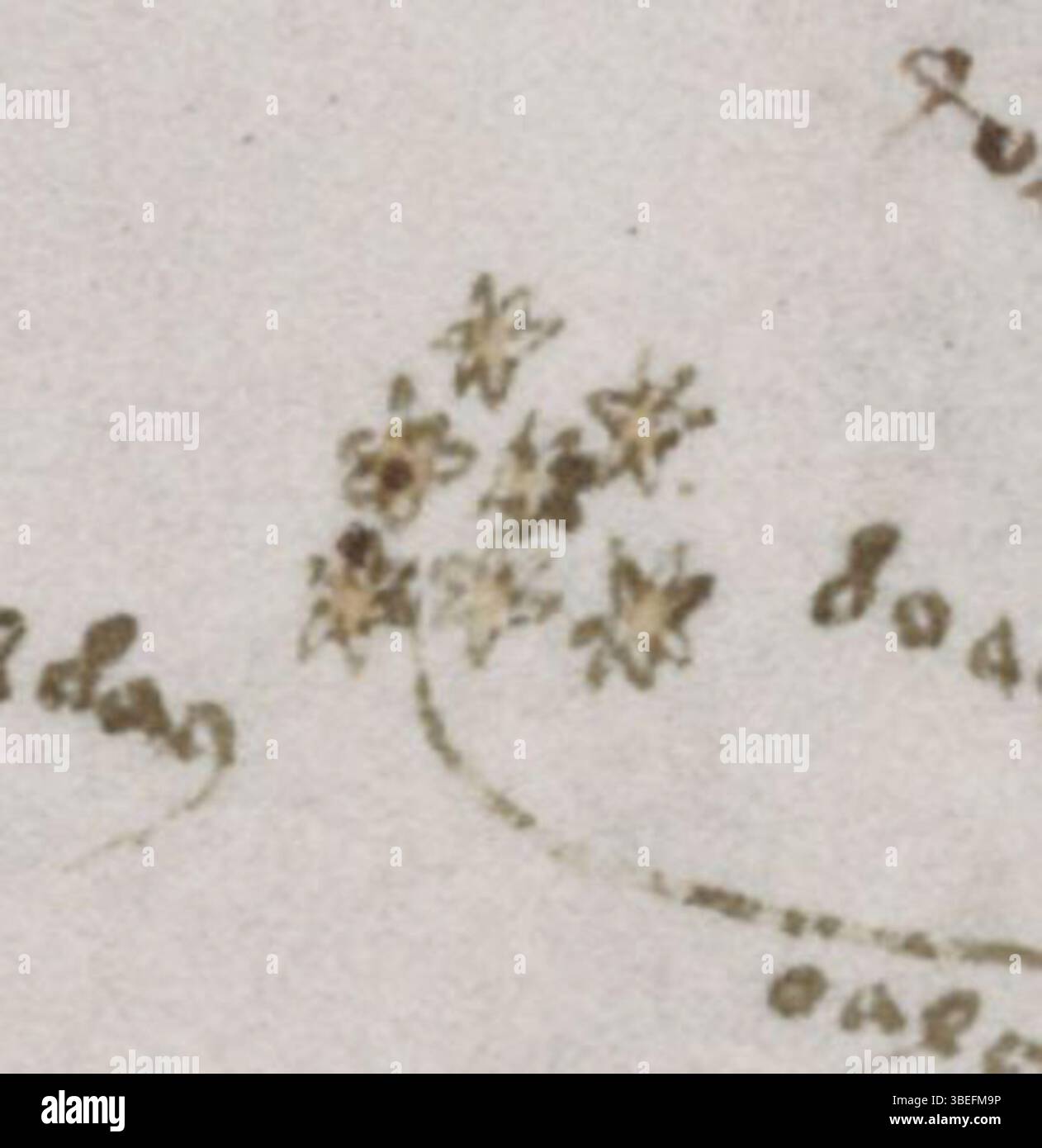 This detail from f68r3 of the Voynich manuscript shows a possible ...