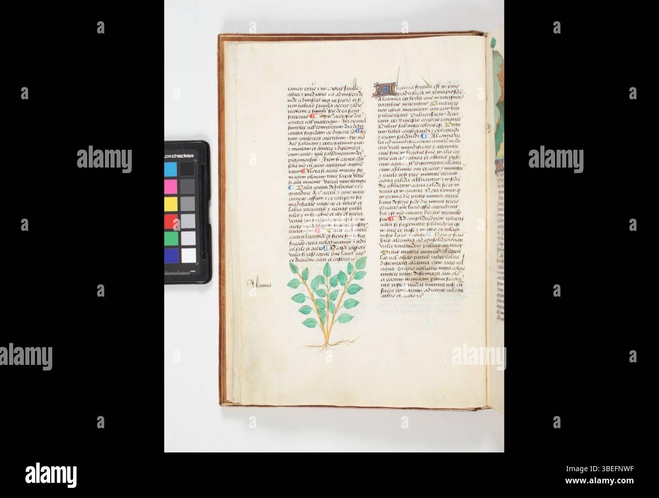 Folio 014v from the Estense manuscript dated 1458 displays Latin ...