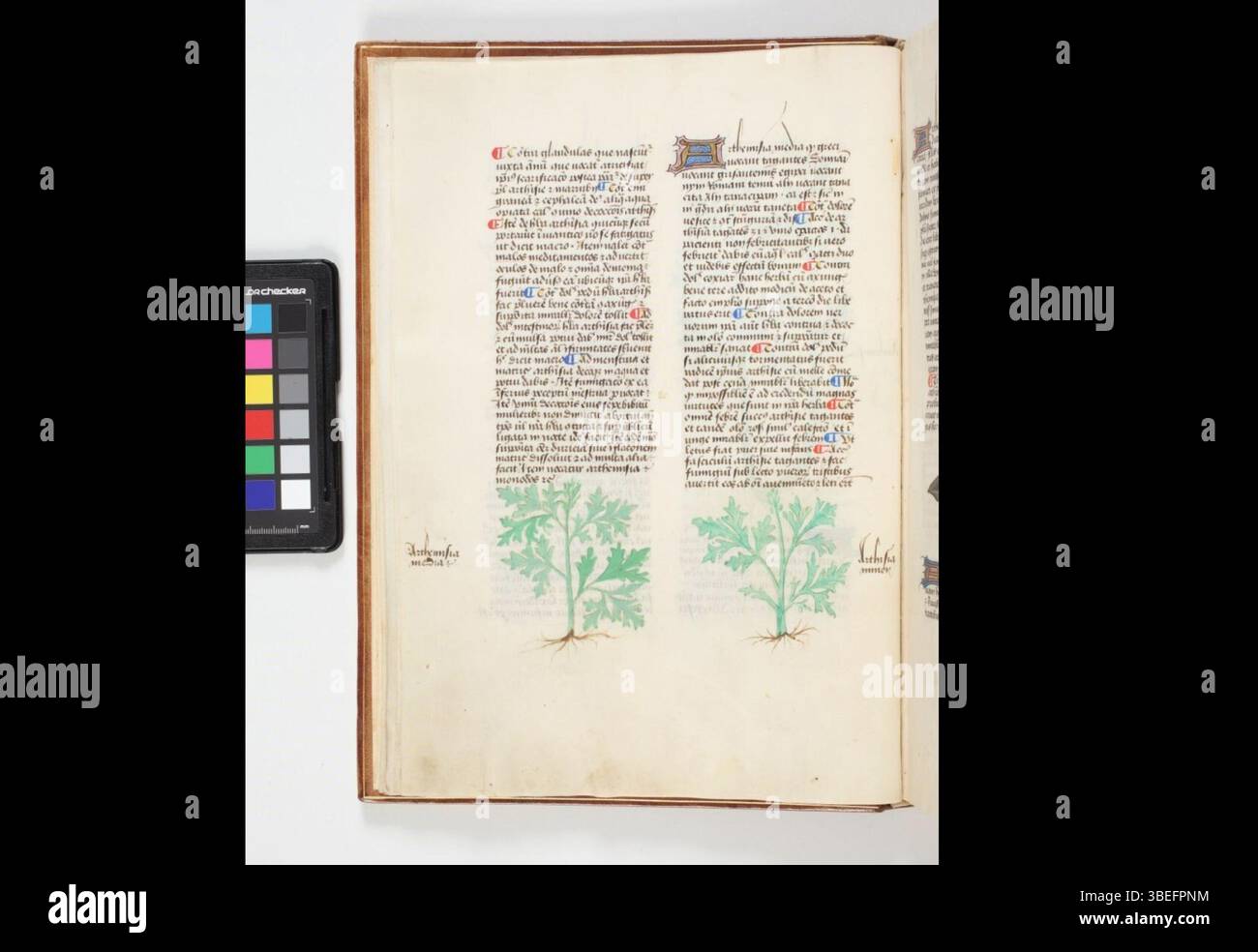 Folio f.013v from the Estense manuscript alfa.l.09.28, dated 1458, part ...
