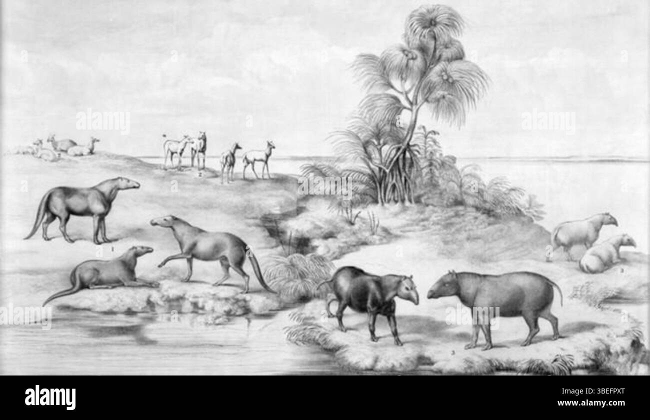 This reconstruction by Benjamin Waterhouse Hawkins features ...