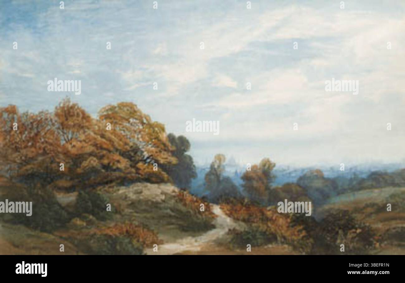 Emily Nicholson’s artwork portrays Hampstead Heath with a view towards ...