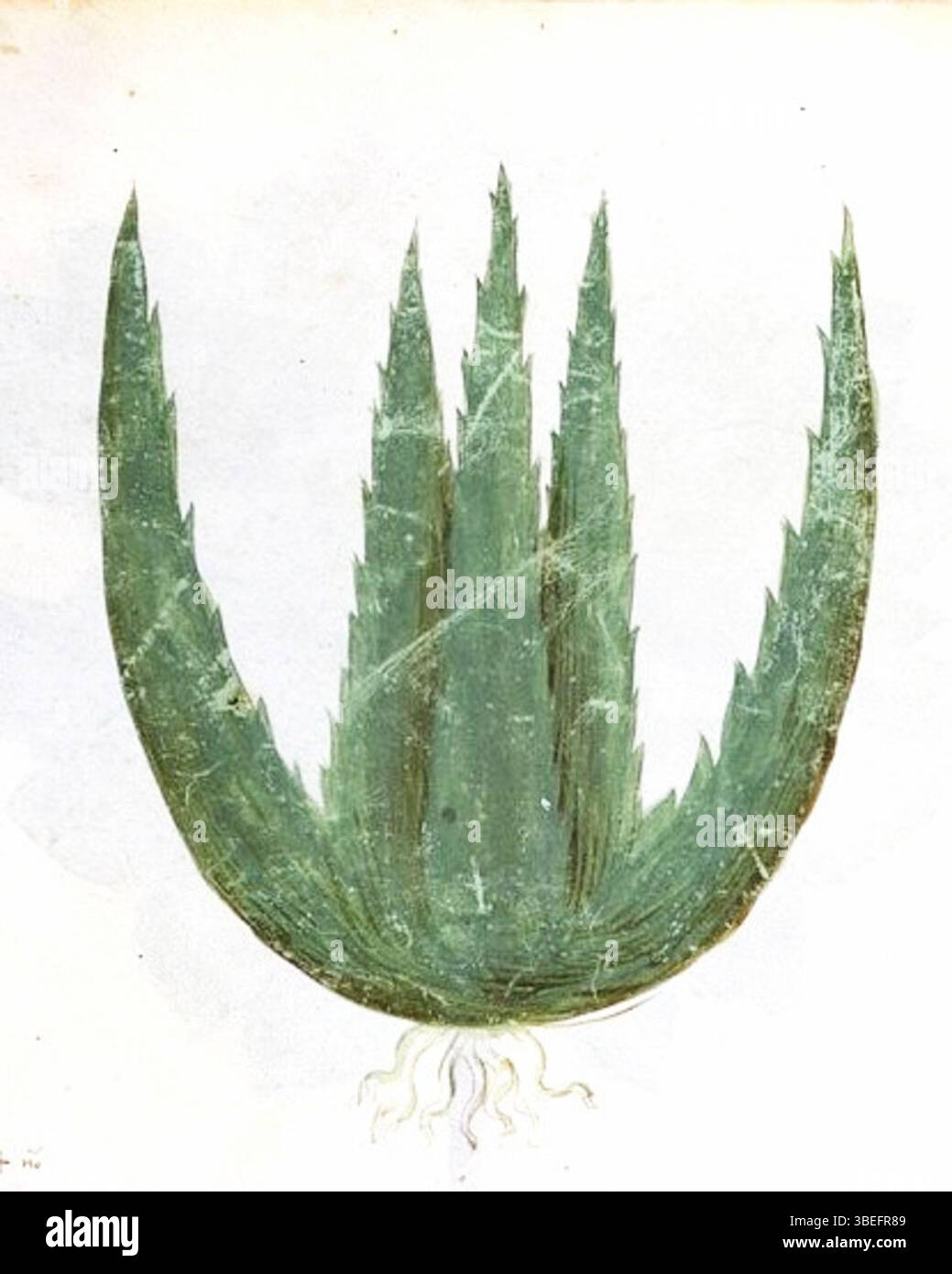 This detail from Casanatense 459, dating between 1395 and 1400 ...