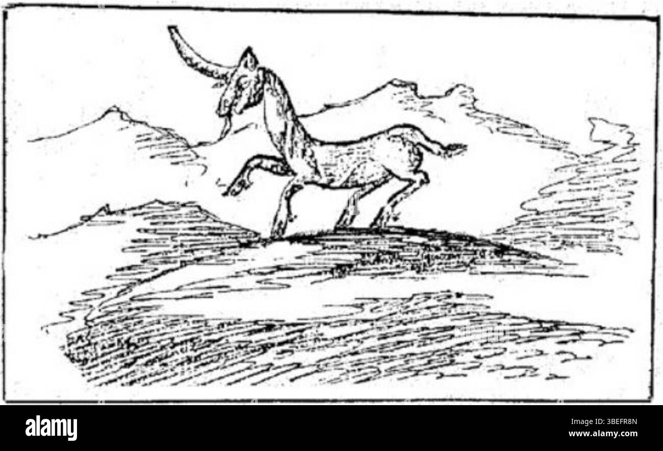 Illustrations reflects Cut Out Stock Images & Pictures - Alamy