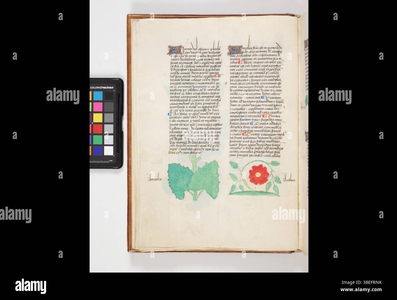 This page, f.017v from the Estense alpha.l.09.28 manuscript (1458 ...