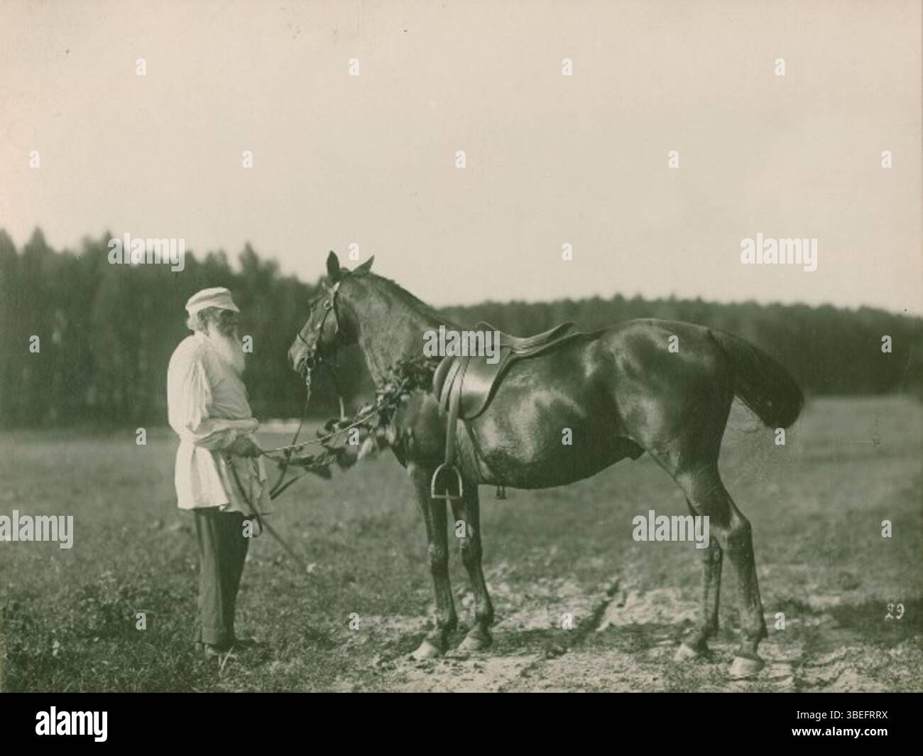 Photograph of Russian author Leo Tolstoy taken in 1908 by photographer ...