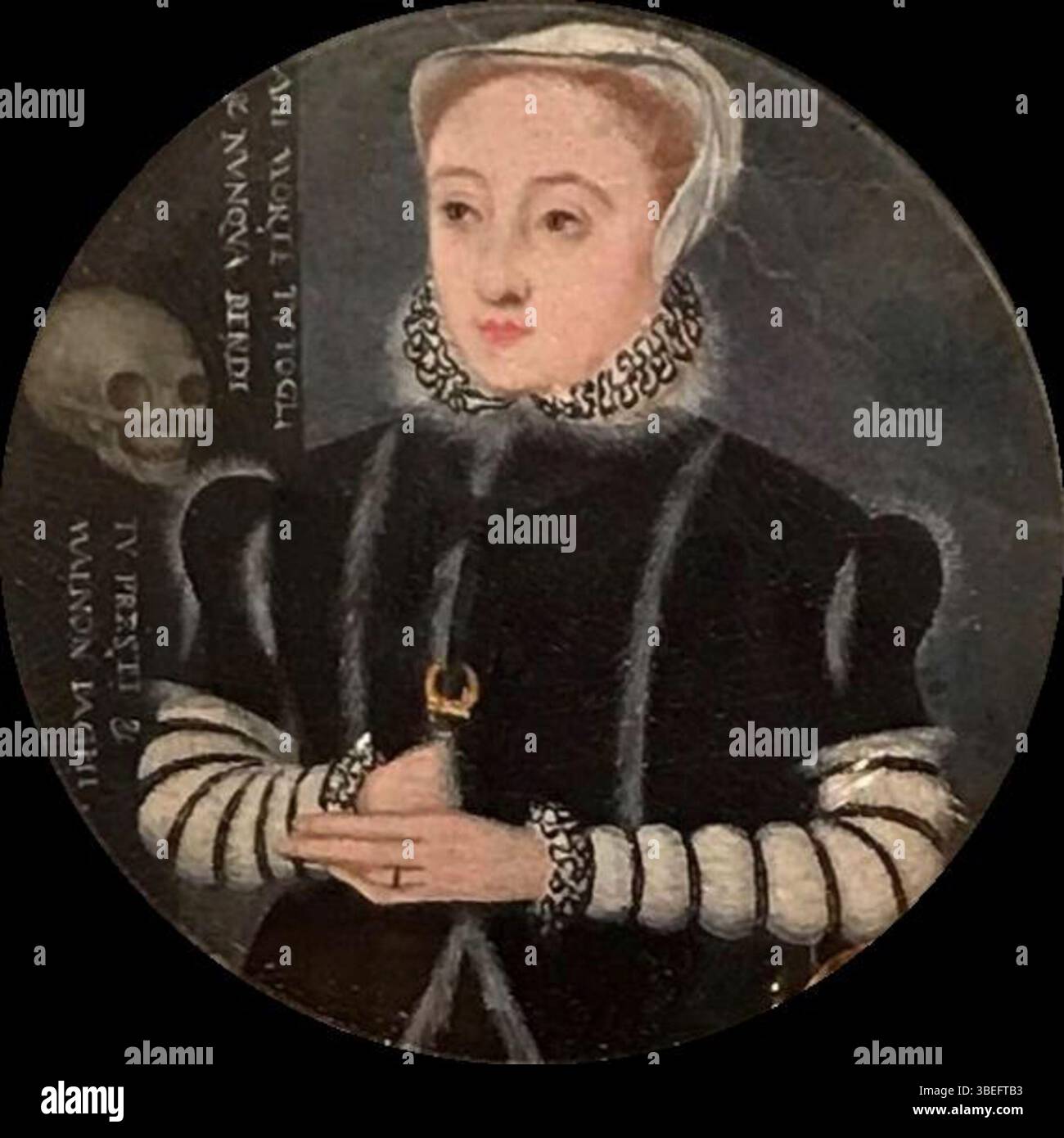 Paine miniature hi-res stock photography and images - Alamy