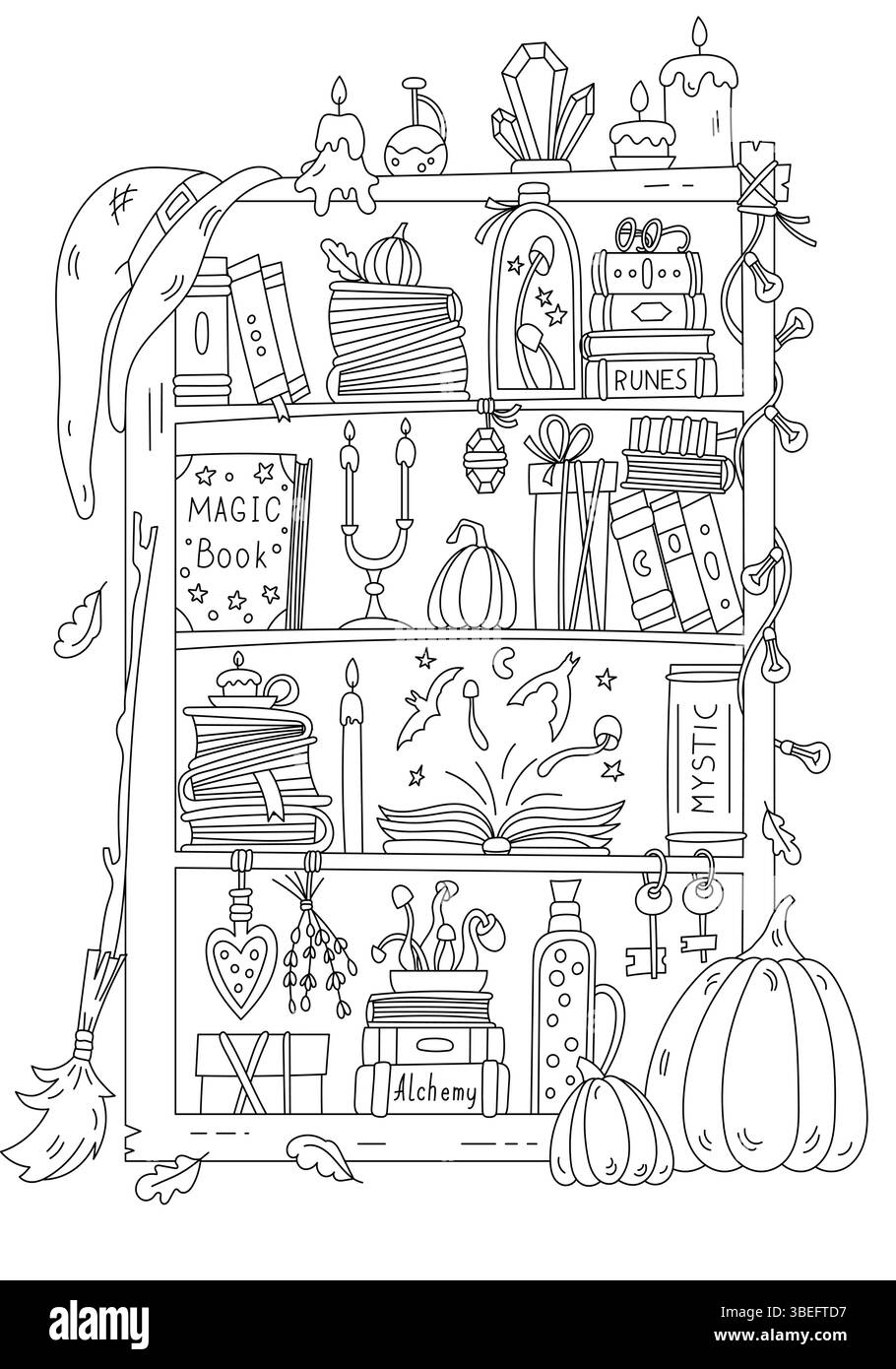 Stress Relief Coloring For Adults And Kids With Shelves Of Magical ...