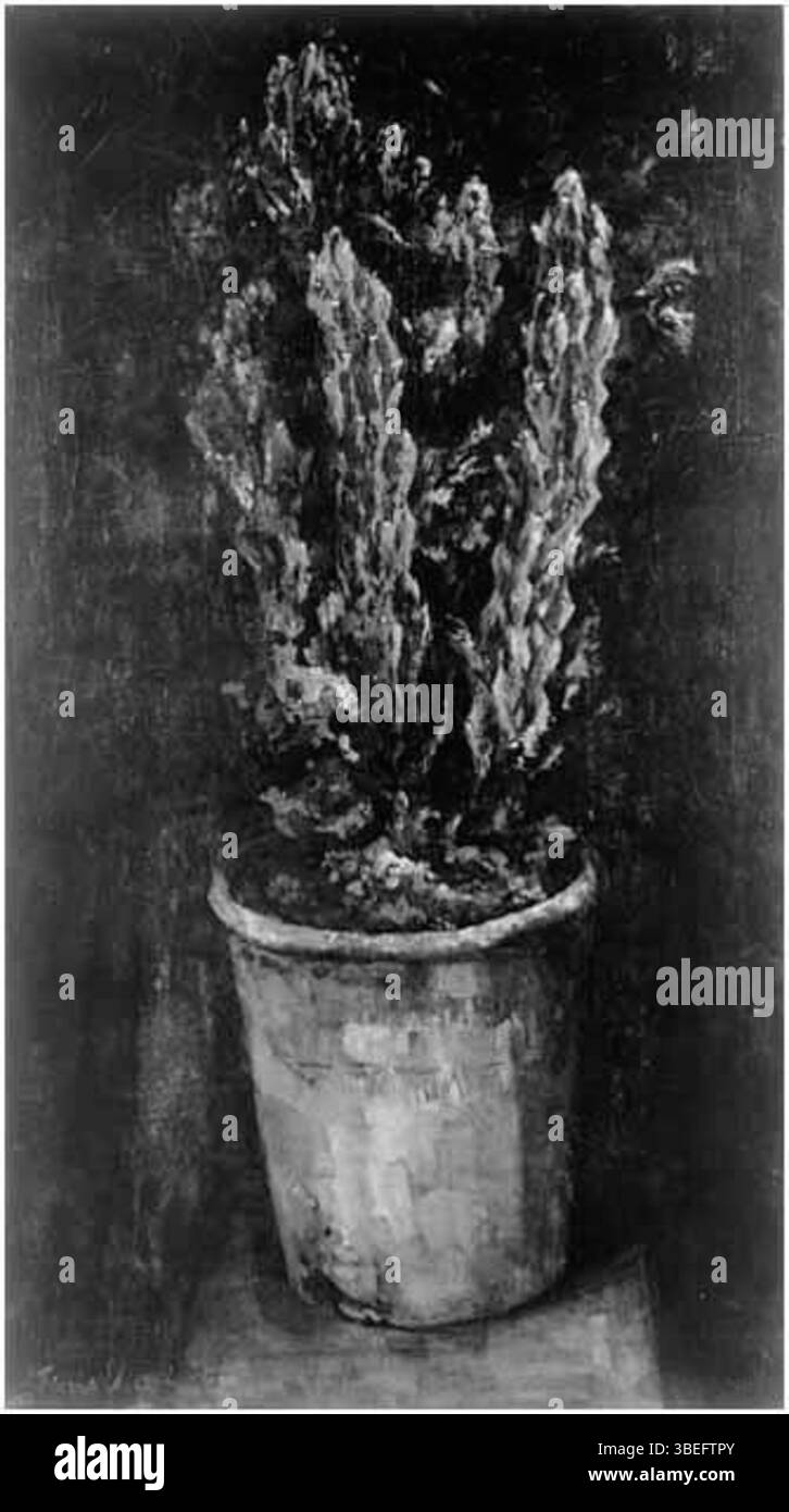 Floris Verster's 1918 painting, 'Cactus in Pot', shows a still life ...