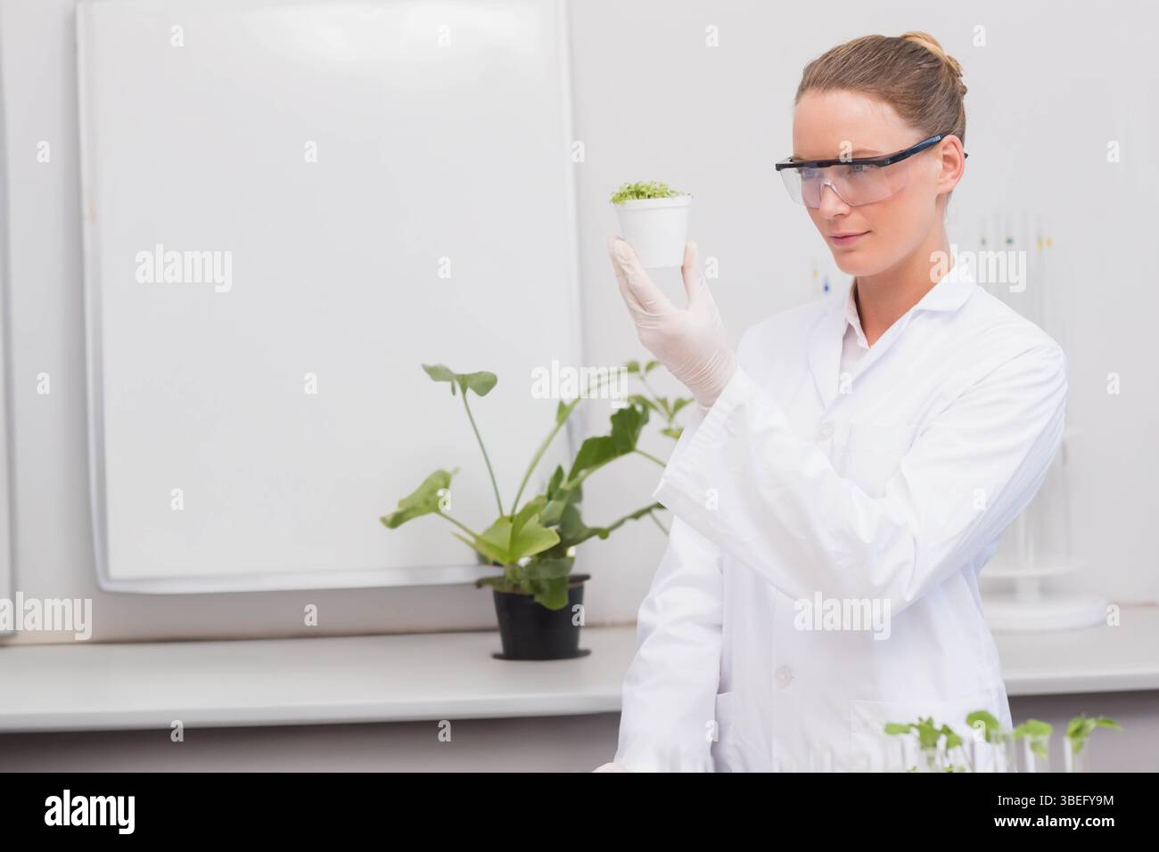 Potted seedling in lab hi-res stock photography and images - Alamy