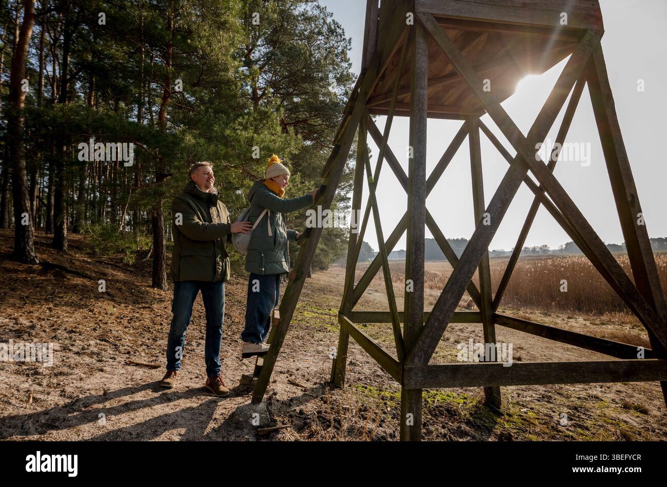 Dad And Daughter Walking In The Forest Near The Lookout Tower In Spring ...