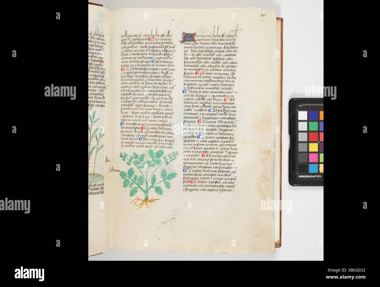 Folio 016r of Estense manuscript alfa.l.09.28 from 1458 features ...