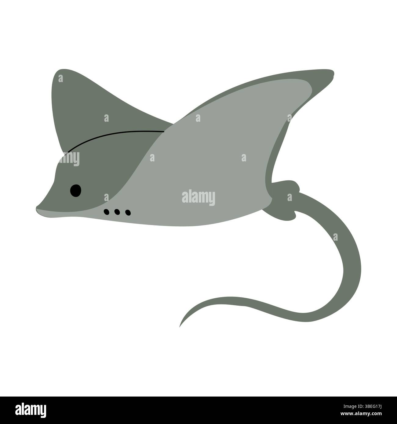 Sting ray cartoon illustration hi-res stock photography and images - Alamy