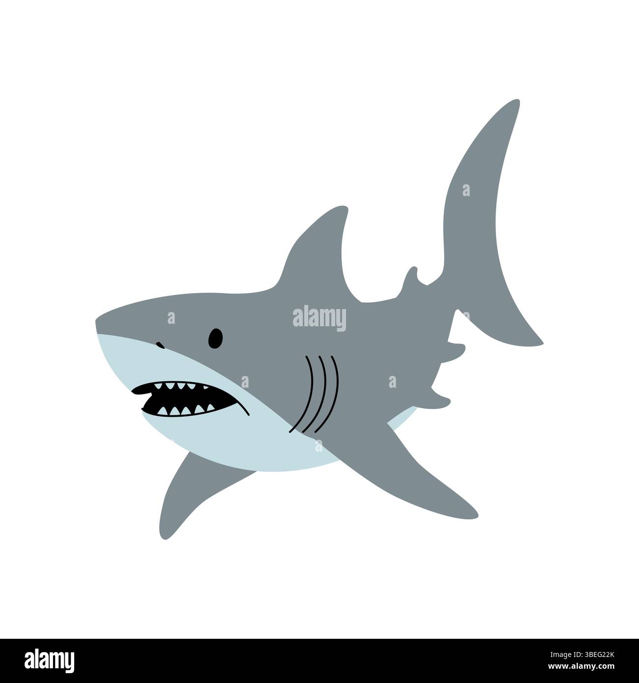 Flat illustration of a grey shark with sharp teeth and a curved tail ...