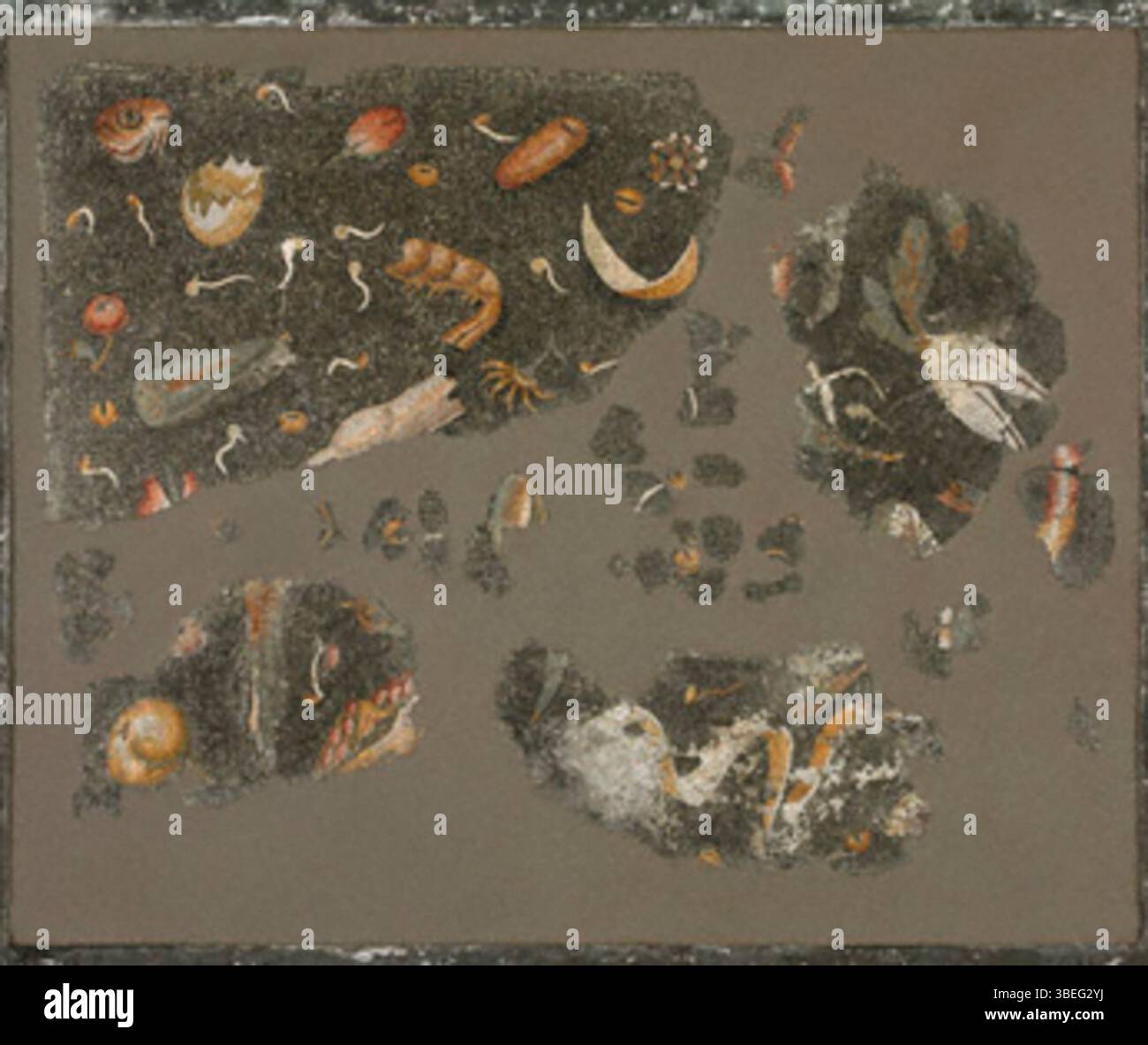 The unswept floor mosaic hi-res stock photography and images - Alamy