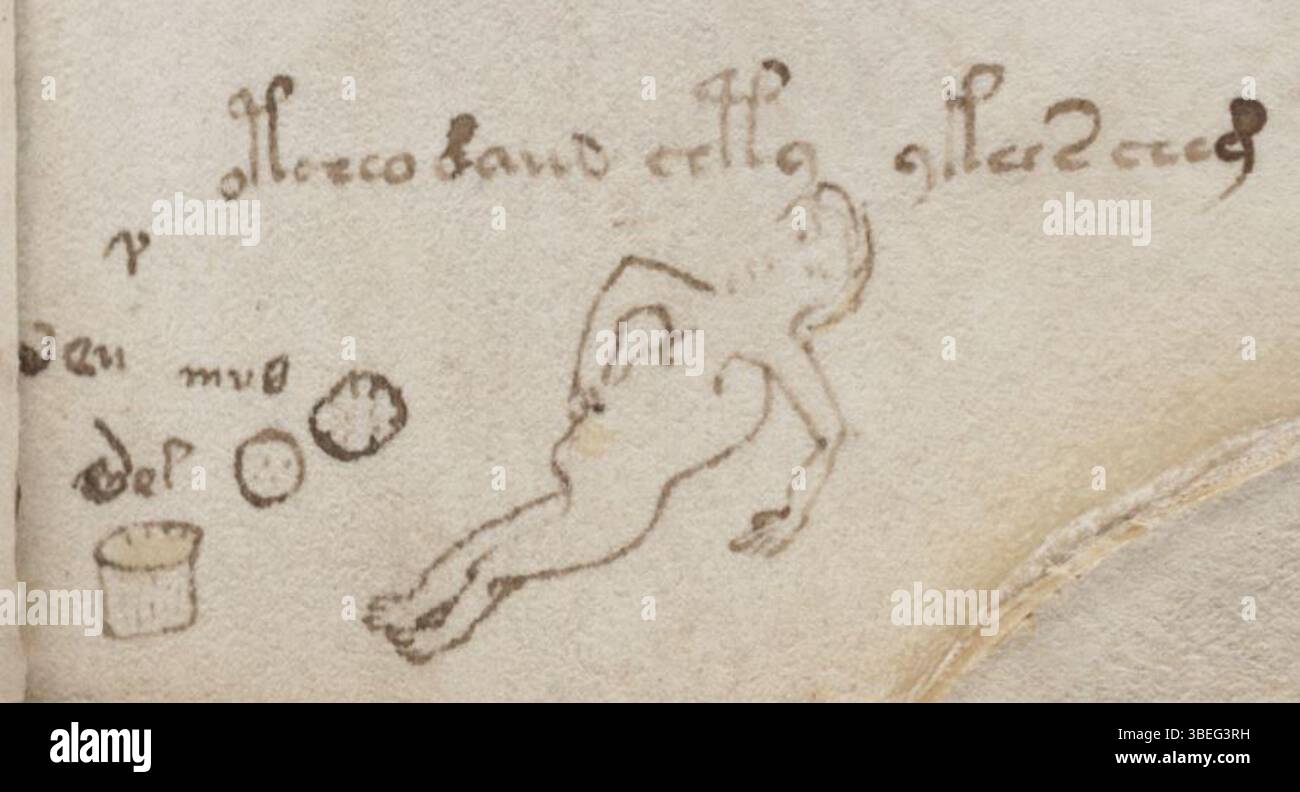 In this digitized section of the *Voynich Manuscript* (f66r), writing ...