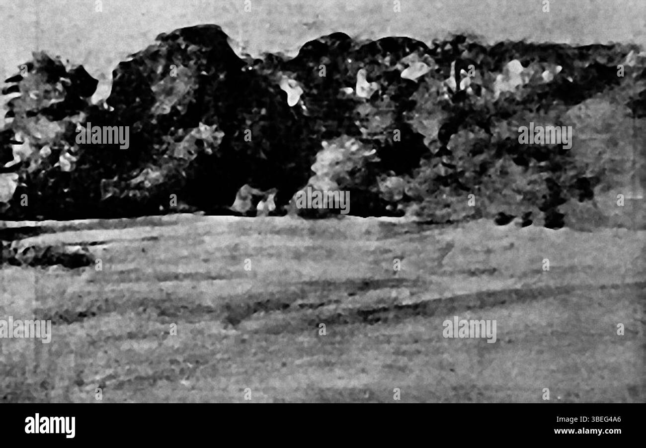 Interplay of natural Black and White Stock Photos & Images - Alamy