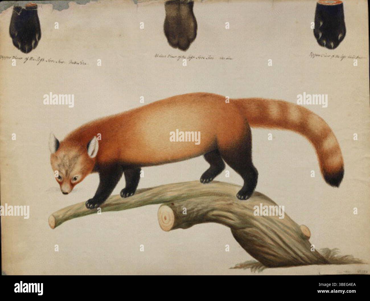 An early 19th-century painting, *Anh48 0368 1*, was created by an ...