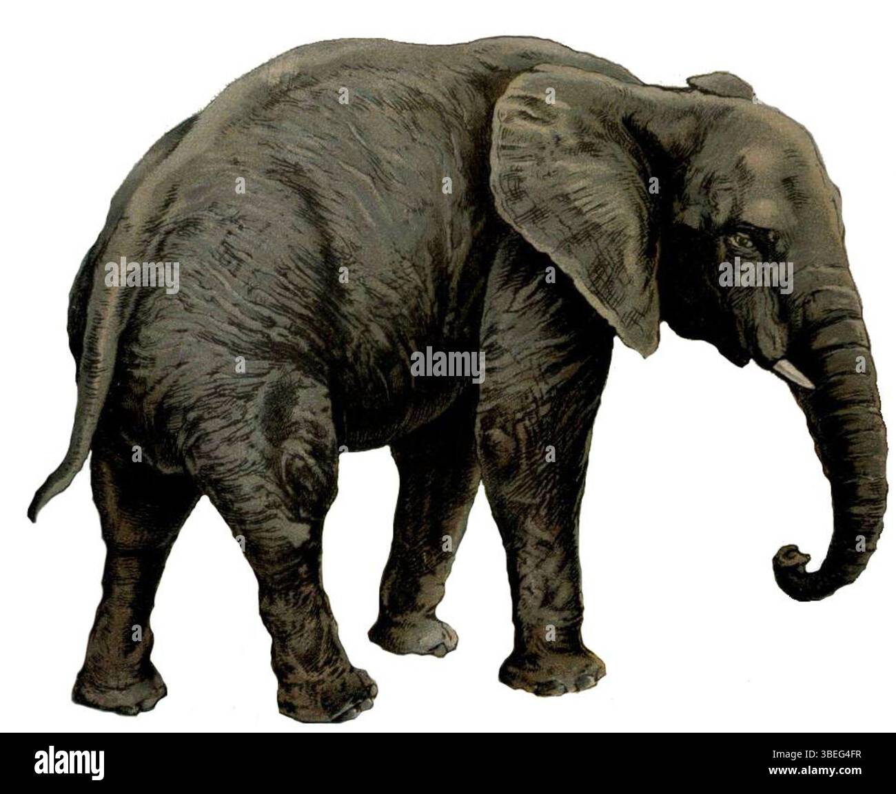 Ernest protheroe hi-res stock photography and images - Alamy