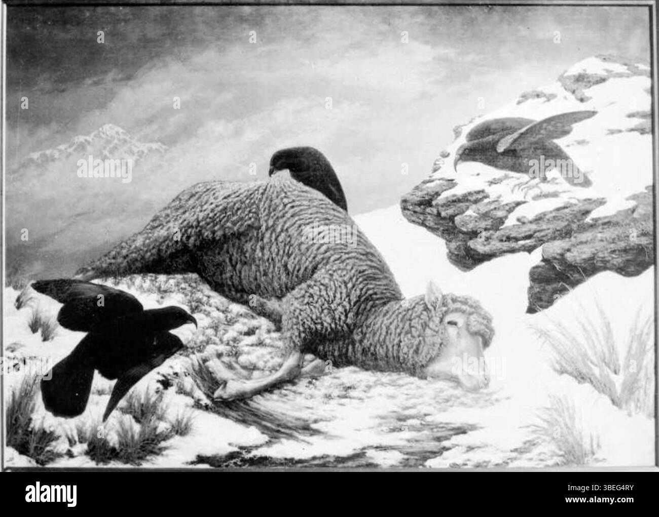 Colonial indian painting Black and White Stock Photos & Images - Alamy