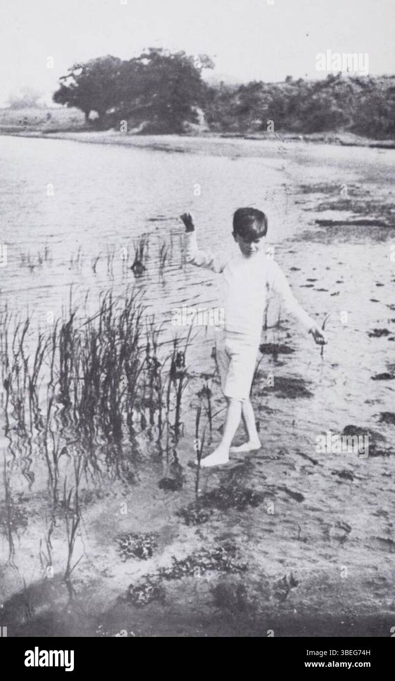 A portrait of Kenneth Clark by Charles Sims, painted circa 1911 ...