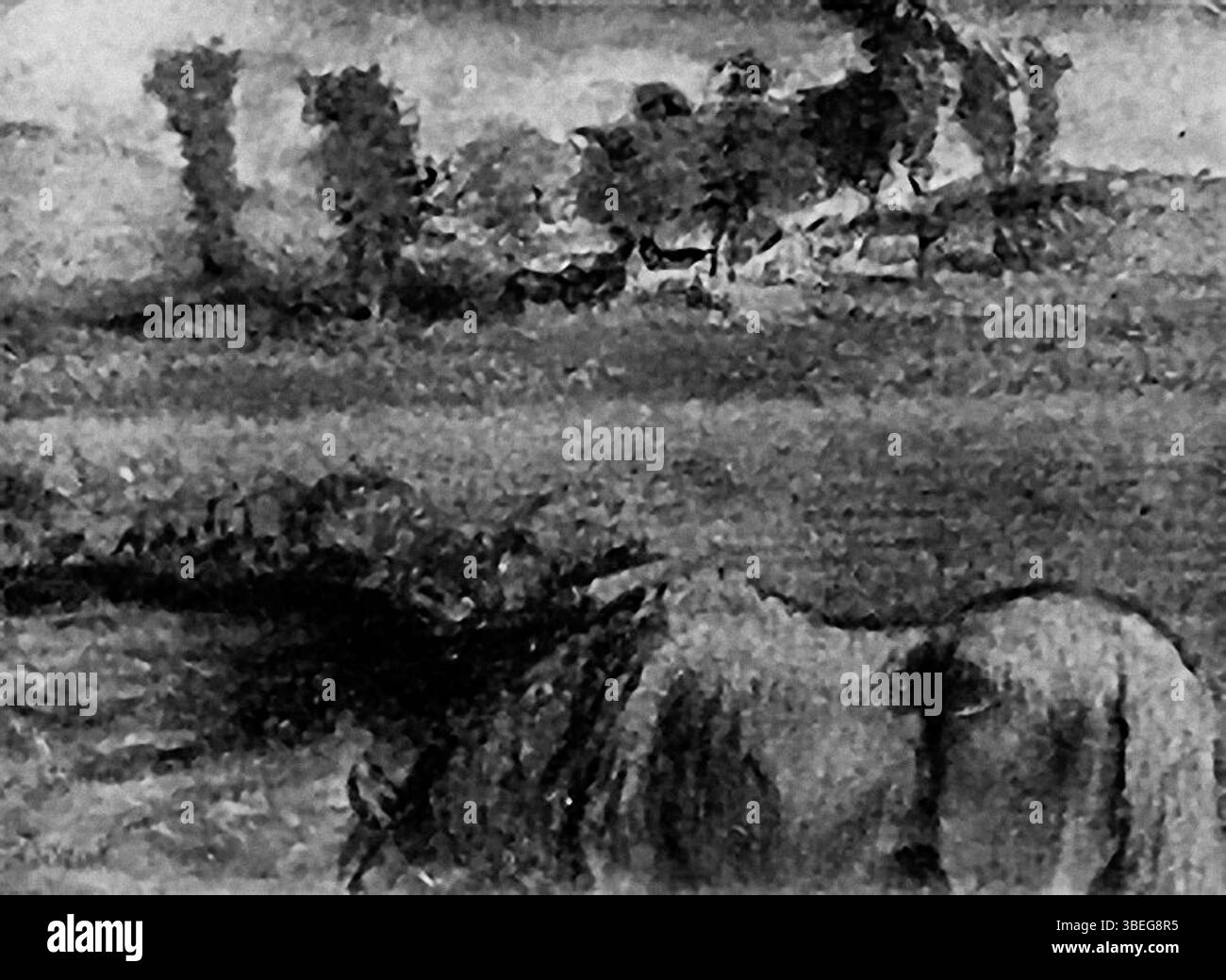 In this painting by Edgar Degas, horses are shown around a pond ...