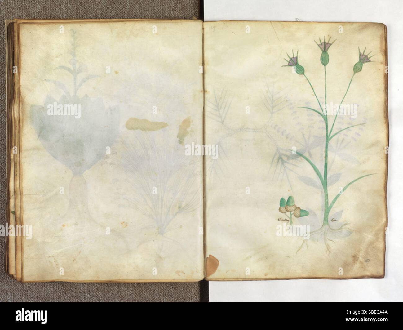 This folio from the manuscript Masson 116, housed at the Beaux-Arts in ...