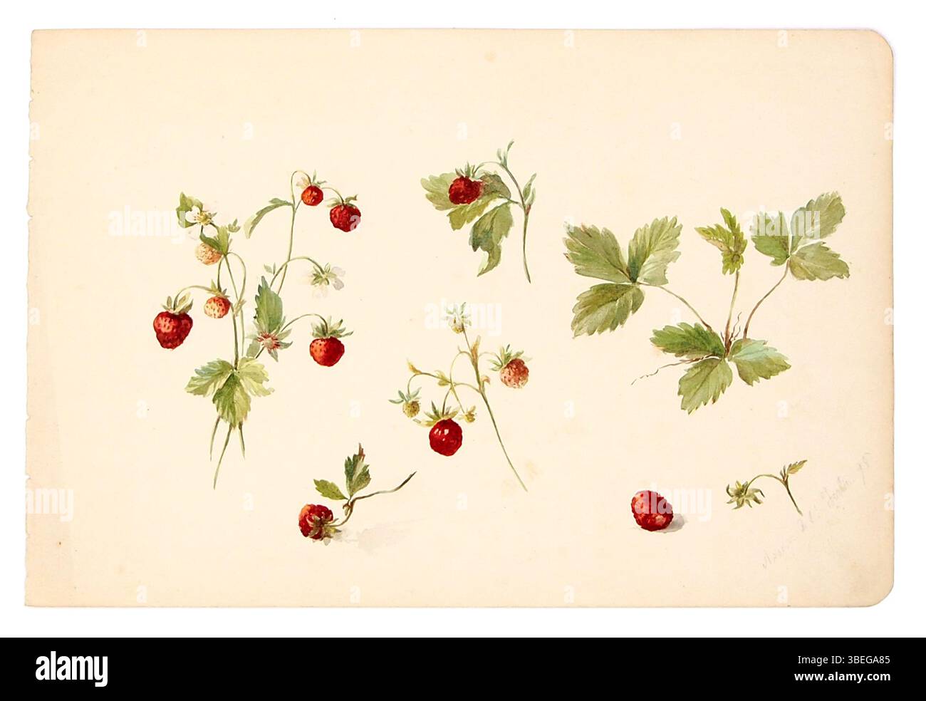 Digital legacy Cut Out Stock Images & Pictures - Alamy