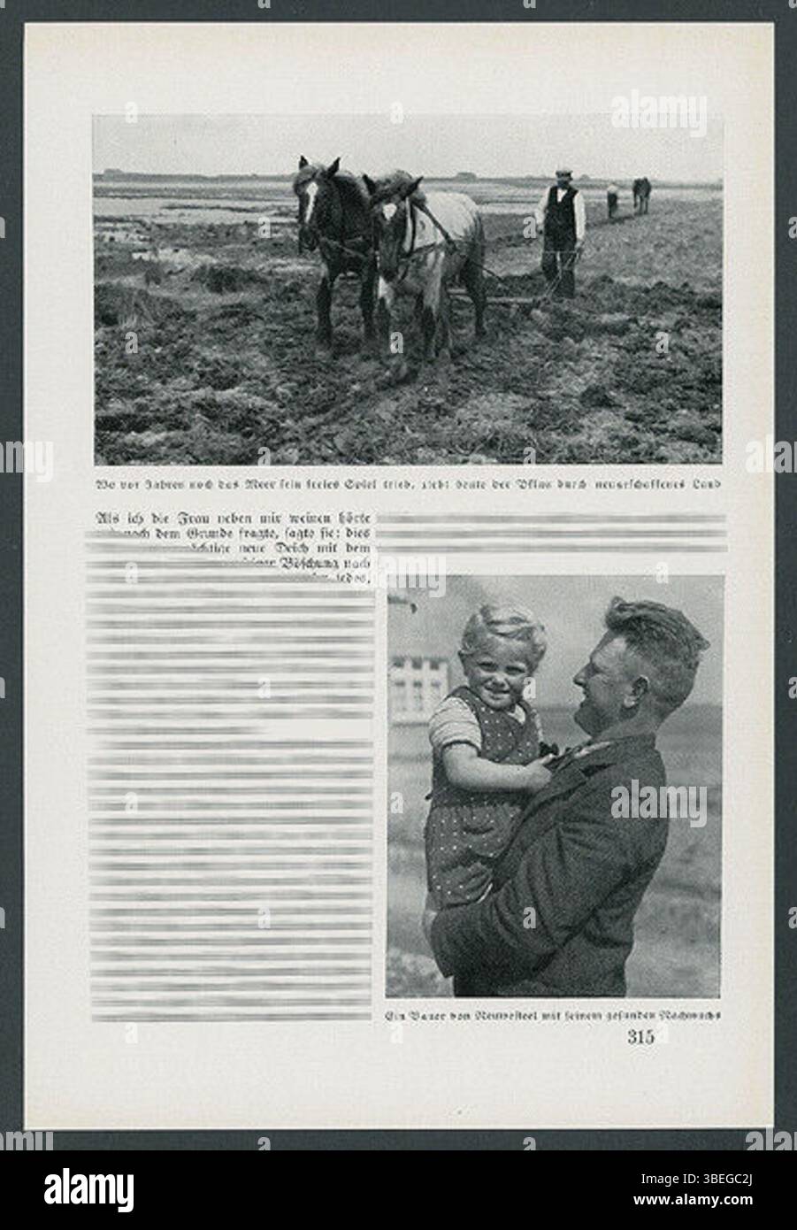This 1935 image by Gustav Frenssen depicts the coastal land reclamation ...