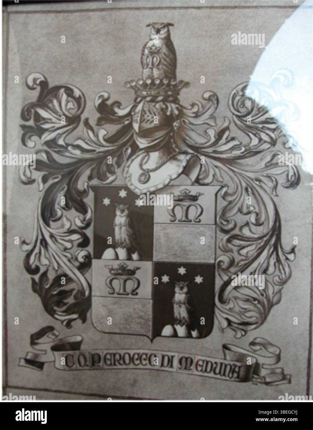 Meduna lineage hi-res stock photography and images - Alamy