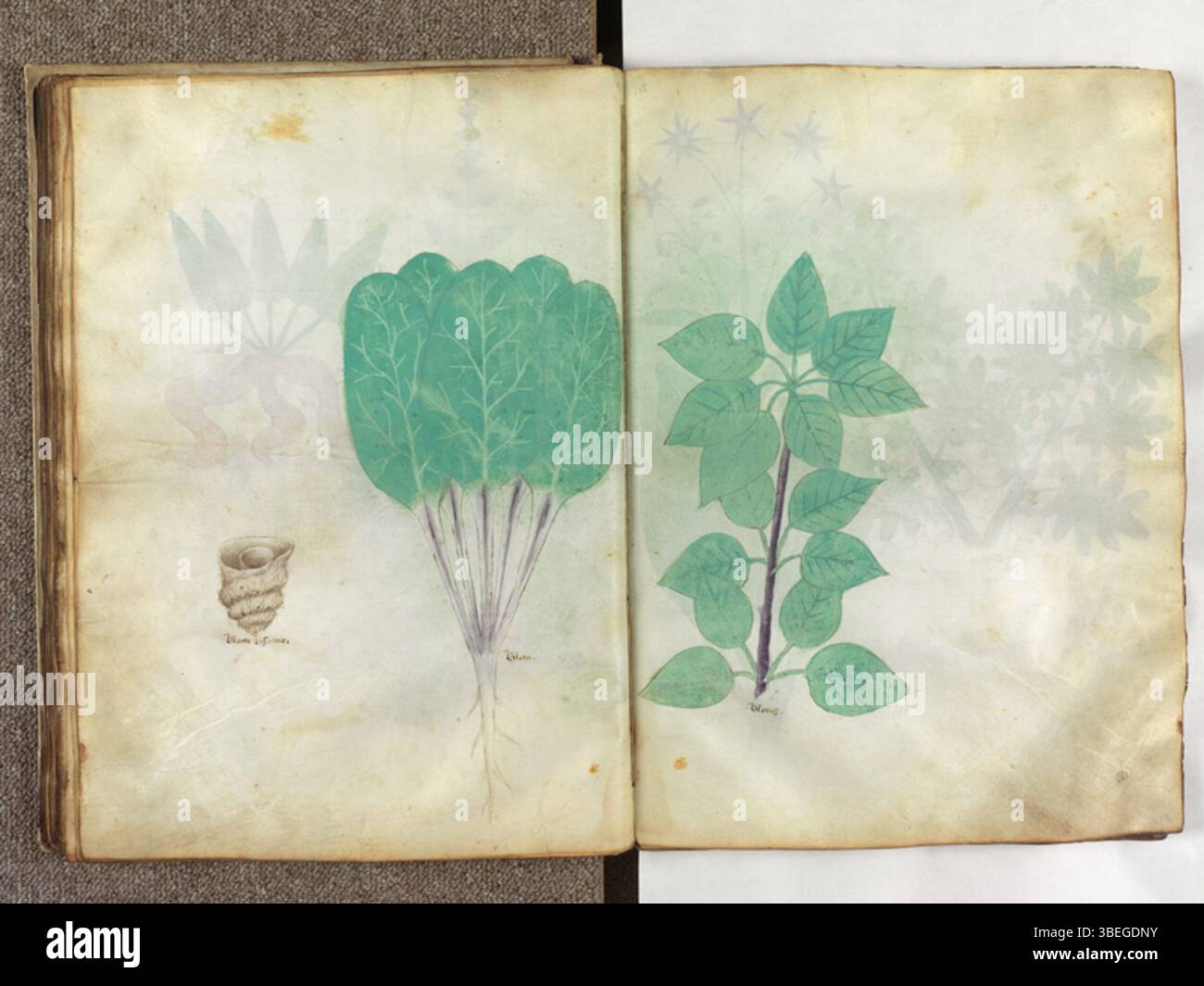 This manuscript folio from circa 1370 is part of the Masson 116 codex ...