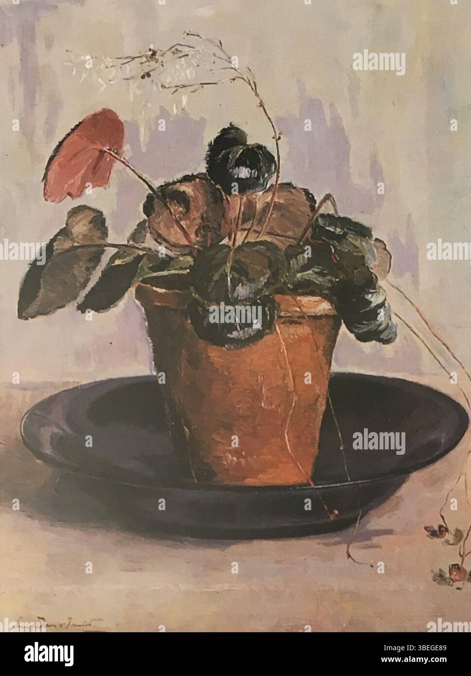 *Bladbegonia* (Leaf Begonia) by Lucie van Dam van Isselt, painted ...