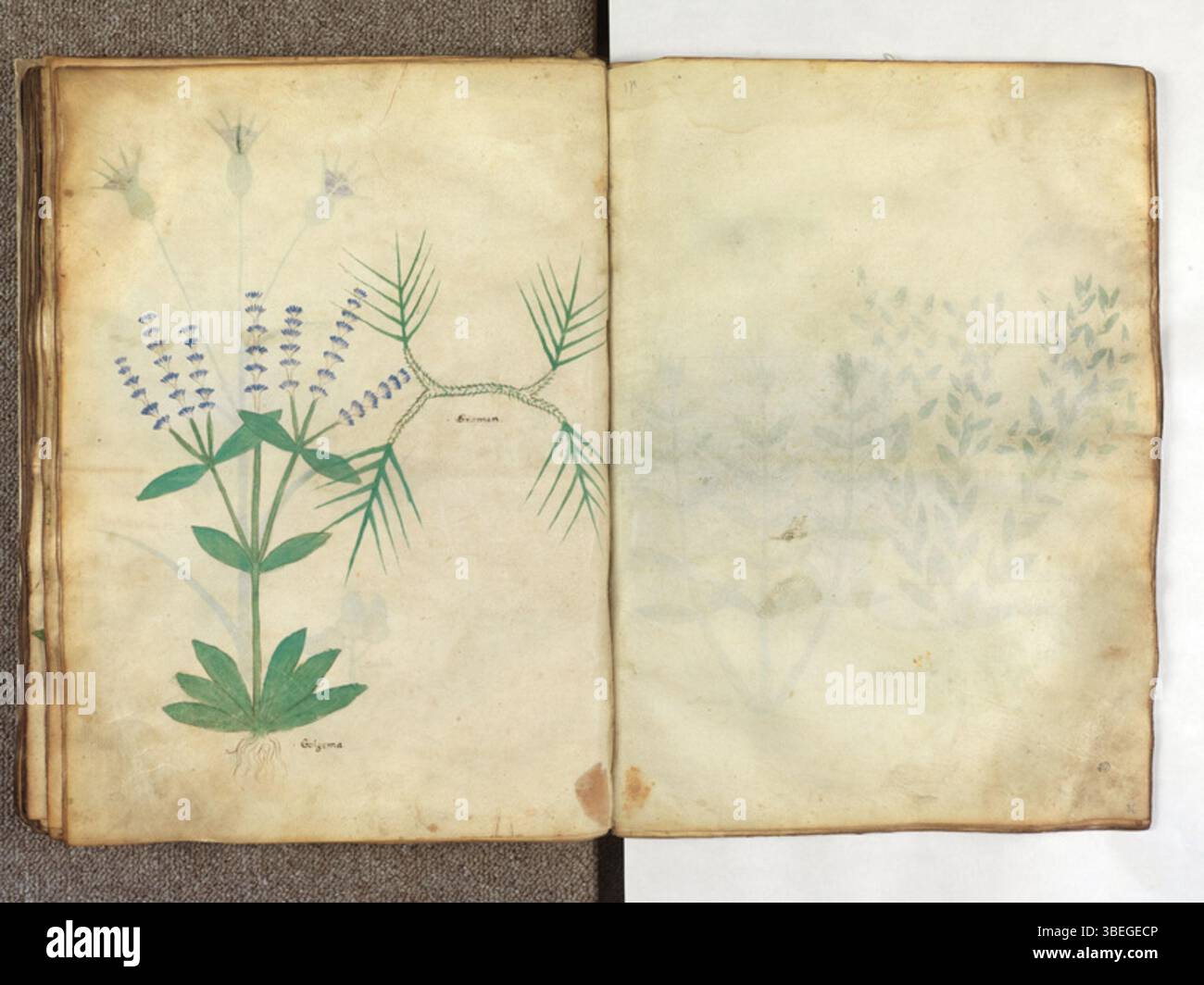 This manuscript, Masson 116, folio 085v-086r, from circa 1370, contains ...