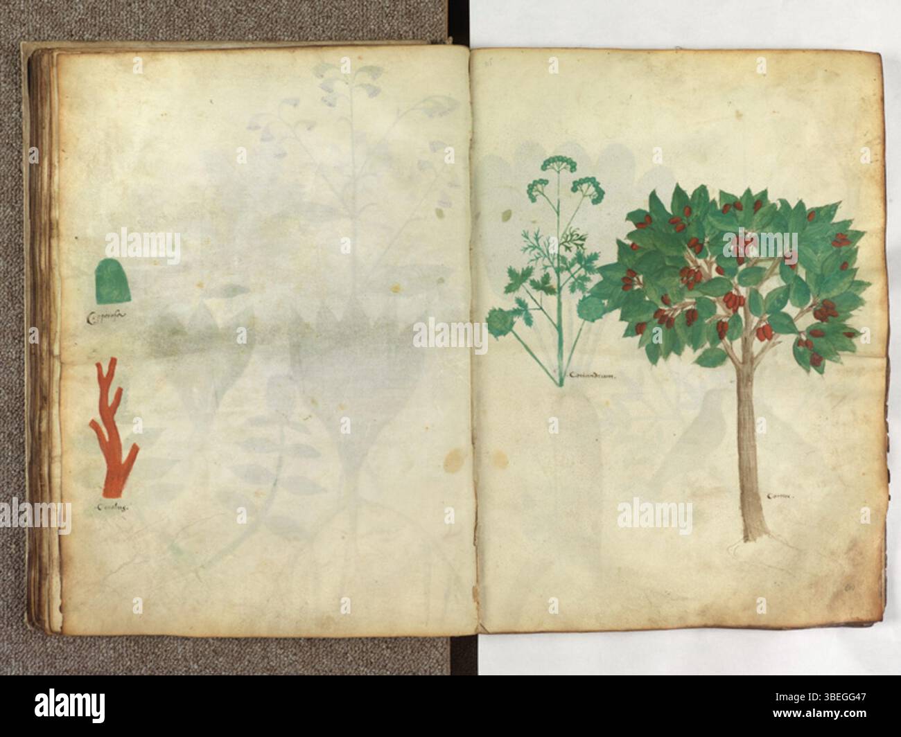 This page from the *Masson 116* manuscript at Paris' Beaux-Arts ...