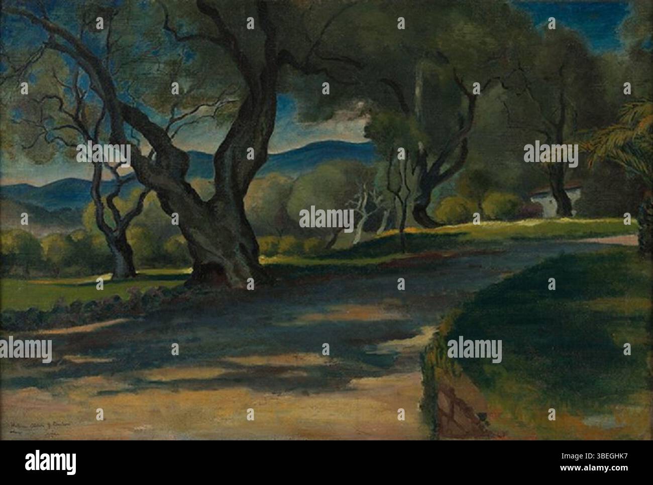 Alej se star hi-res stock photography and images - Alamy