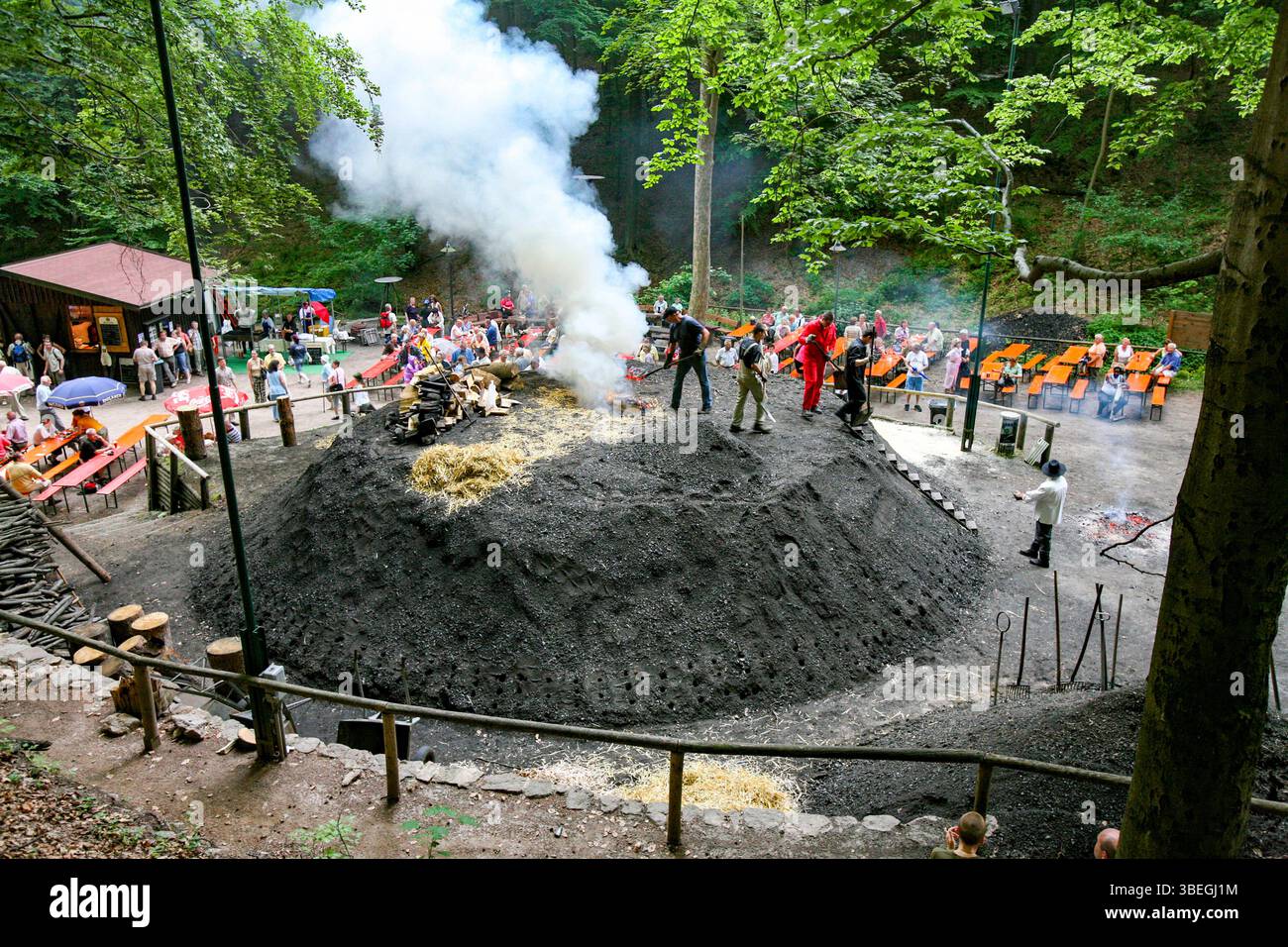 26.05.2007, Deutschland, Sachsen, 01737 Tharandt, Meilerplatz im ...