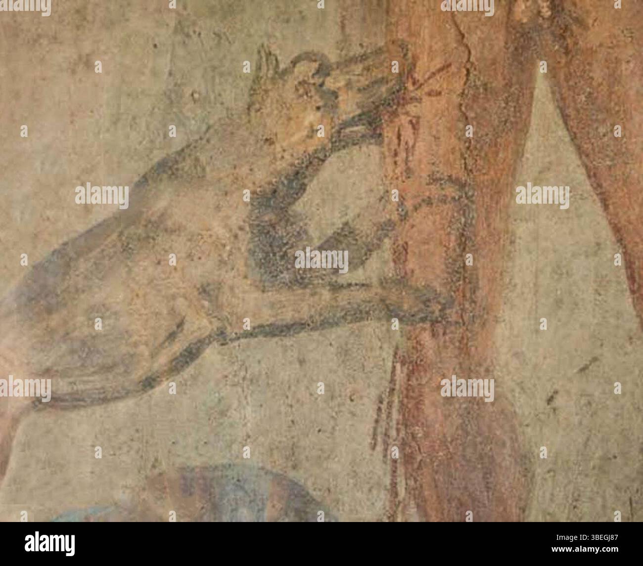 A closeup of Actaeon’s left hound, part of a 1st-century CE Roman ...