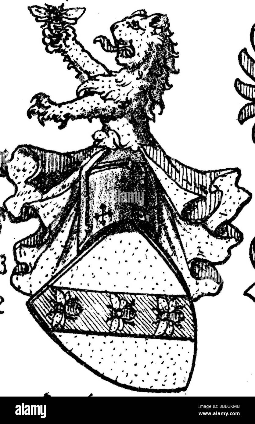 The Immel family coat of arms, designed by Johann Siebmacher in 1561 ...