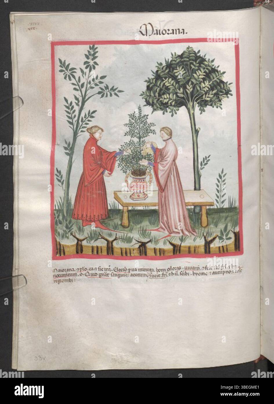 This illustration from the 'Tacuinum sanitatis', a medieval illuminated ...