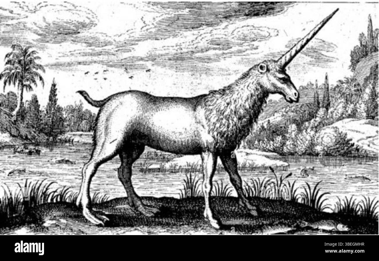 A 17th-century engraving by Laurent Catelan depicting a unicorn in the ...