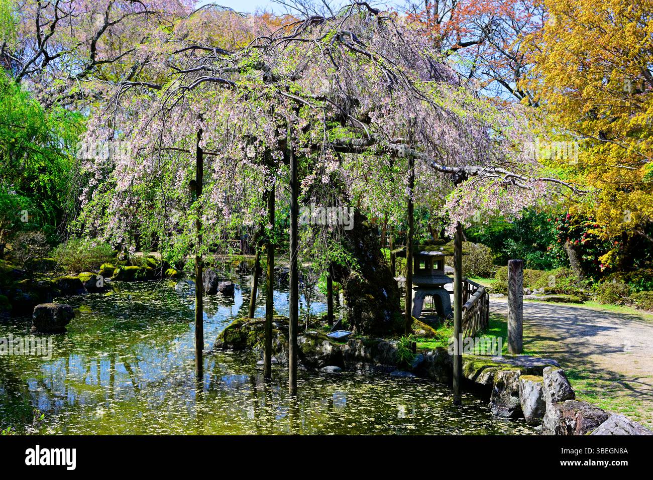 Chikurin-in buddhist temple and garden is along the border of the Naka ...