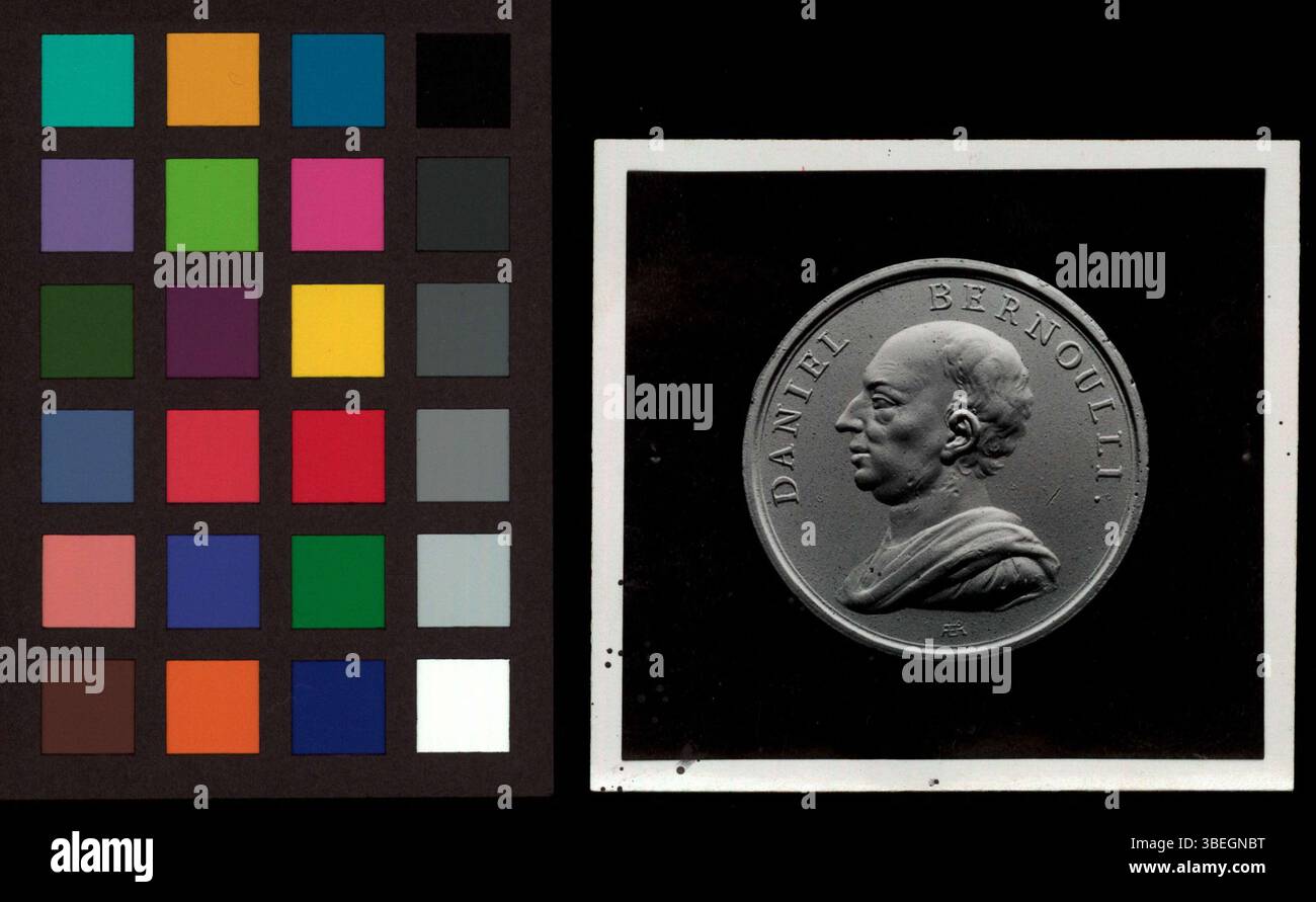 This 19th-century black-and-white photograph depicts a medallion ...