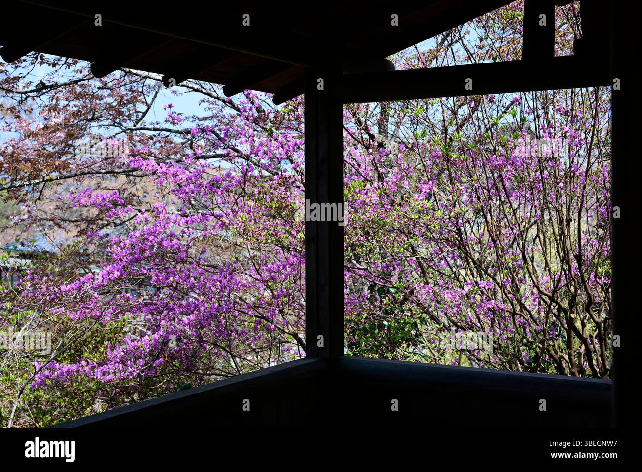 Chikurin-in buddhist temple and garden is along the border of the Naka ...
