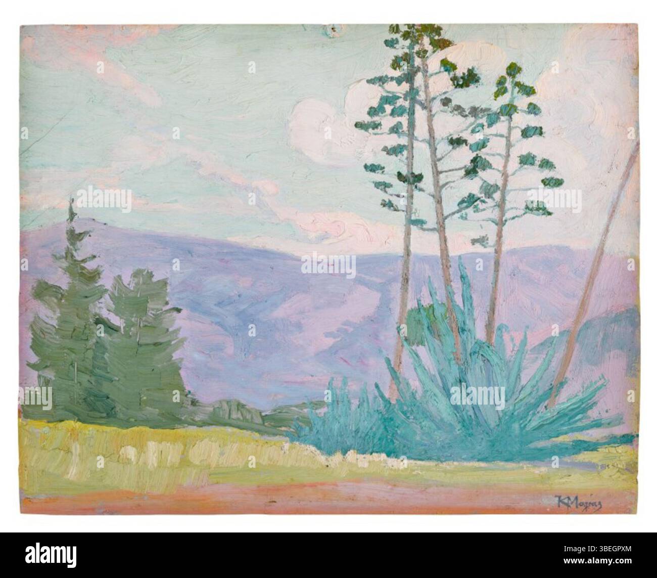 Arid region agave Cut Out Stock Images & Pictures - Alamy