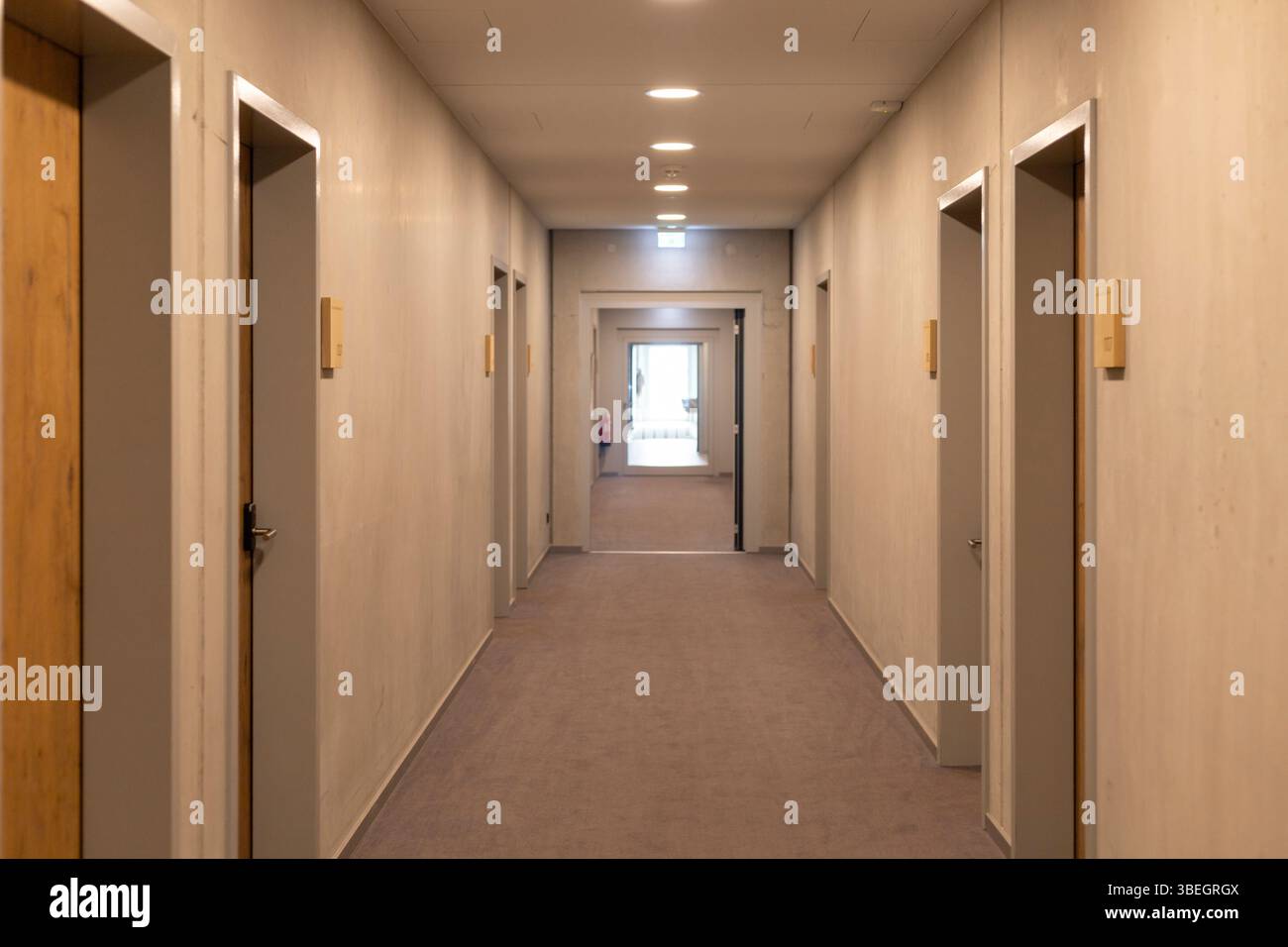 A modern hallway features a uniform design with multiple doors lining ...