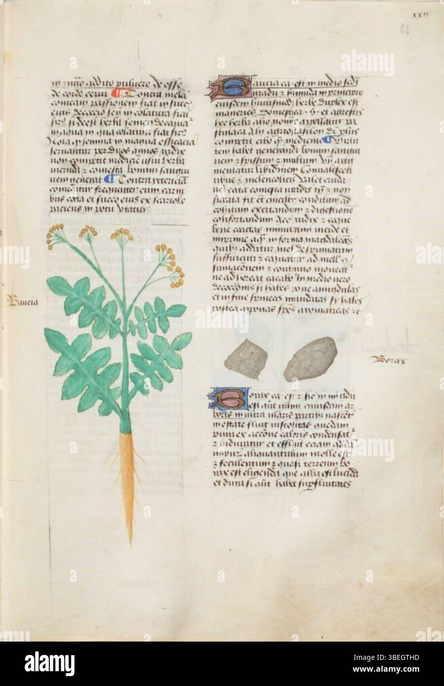 Page f.022r from the Estense manuscript alfa.l.09.28, dated 1458. This ...