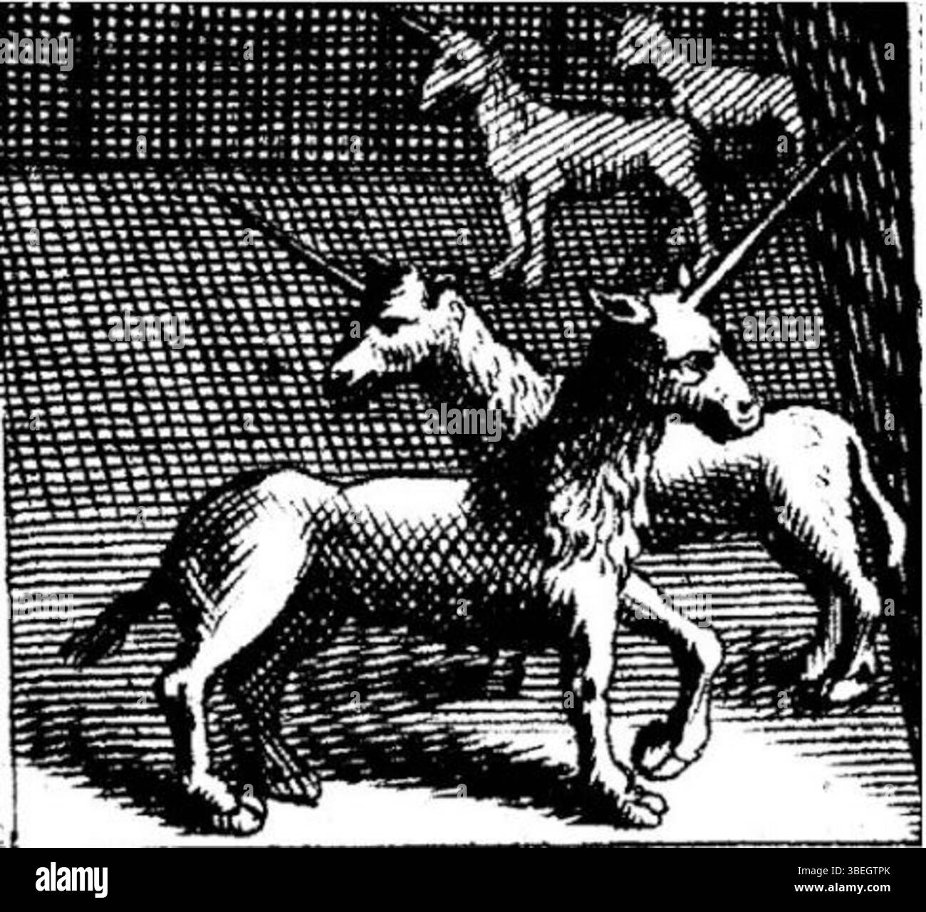 Mythical animals in the ark hi-res stock photography and images - Alamy