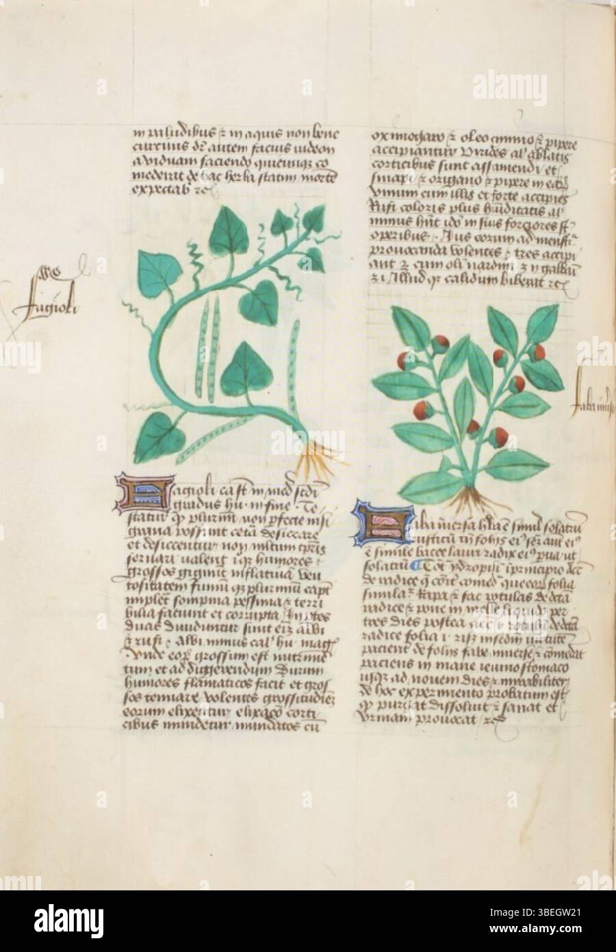 Estense alfa.l.09.28, f.063v from 1458 is part of the Estense Library’s ...